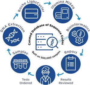 MICROBIOLOGY | The MicroGenDX NGS Process | MicroGen Diagnostics