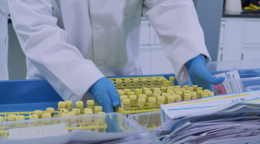 MicroGenDX’s Next Generation Sequencing is a Clinician’s Best Tool ...