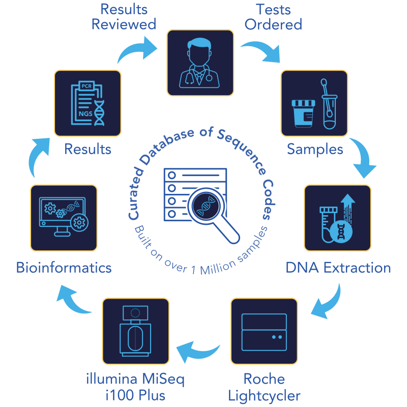MICROBIOLOGY | The MicroGenDX NGS Process | MicroGen Diagnostics
